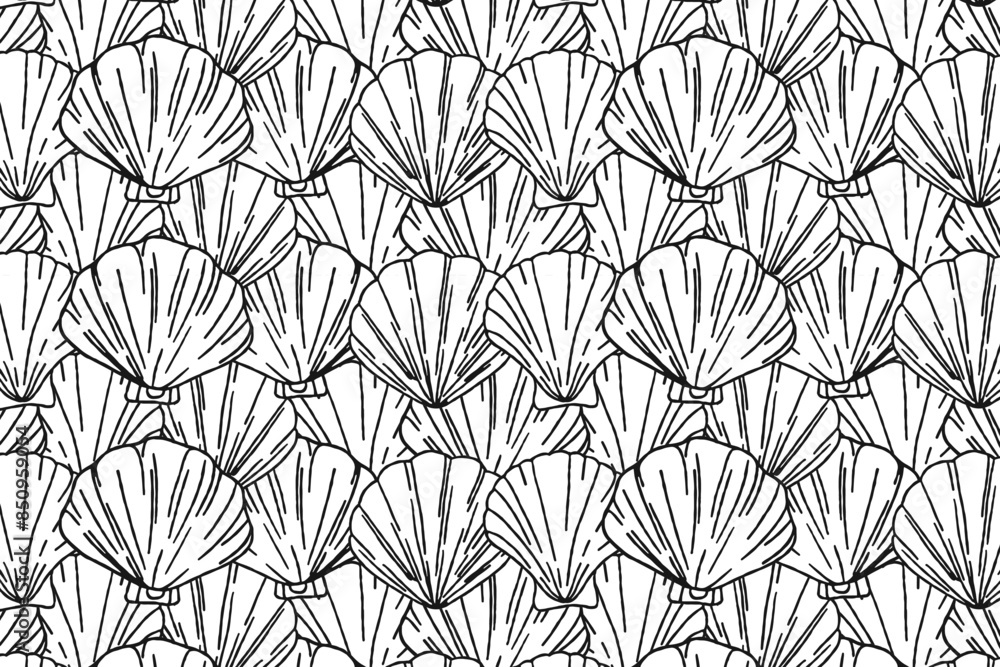 Beautiful seashell pattern on a white background, Nautical design for ...