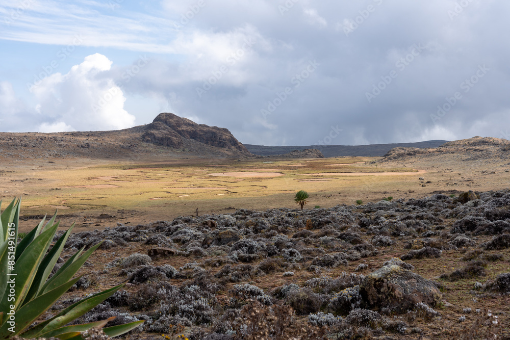 Ethiopia, landscape of the Sanetti Plateau in the Bale Mountains ...
