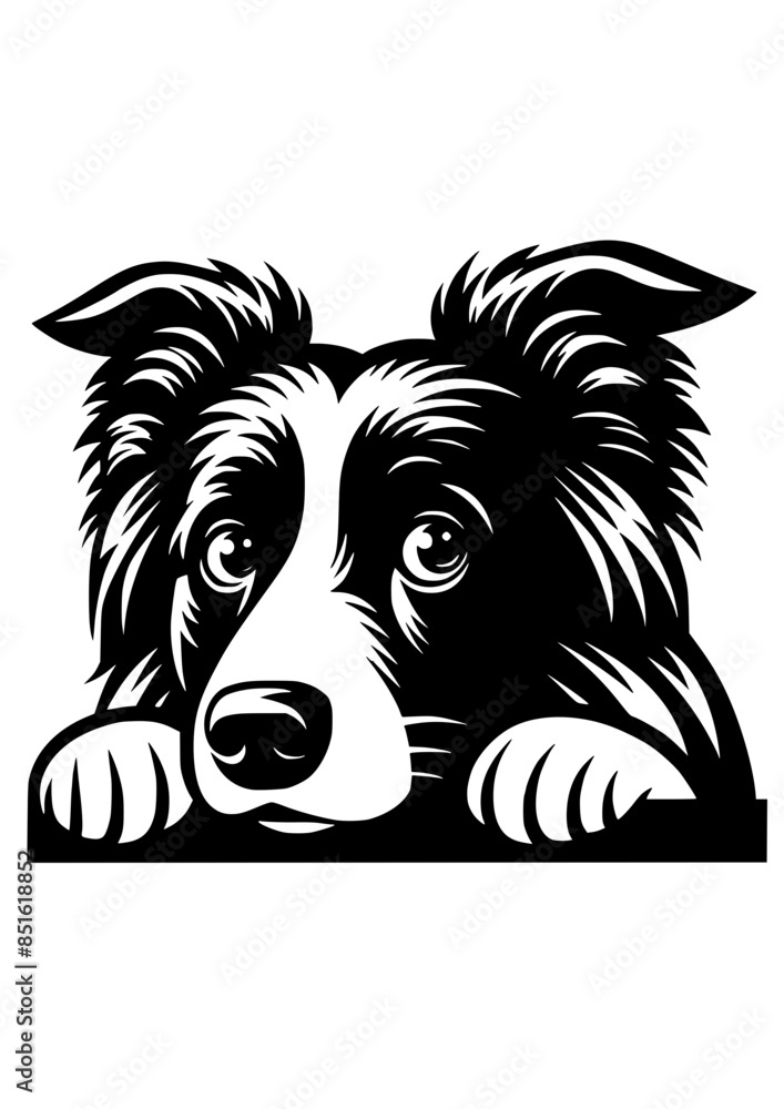 Border Collie SVG, Dog Breed SVG, Dog SVG, Pet SVG, Dog Lover SVG ...
