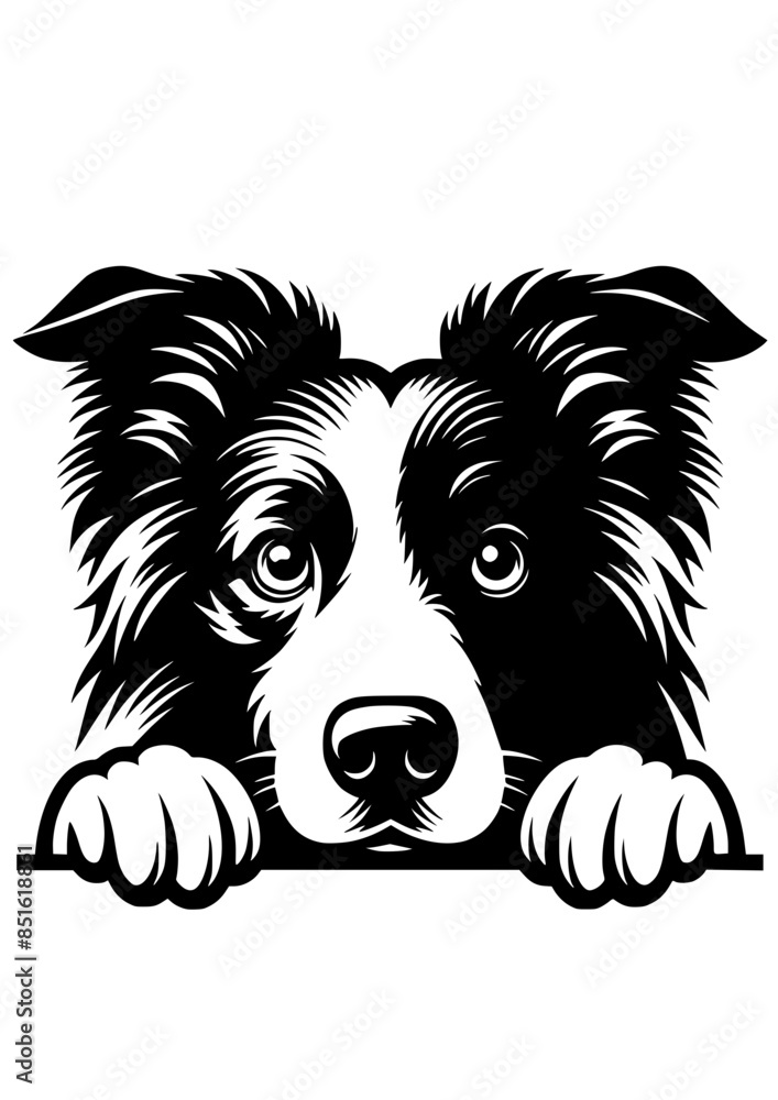 Border Collie SVG, Dog Breed SVG, Dog SVG, Pet SVG, Dog Lover SVG ...