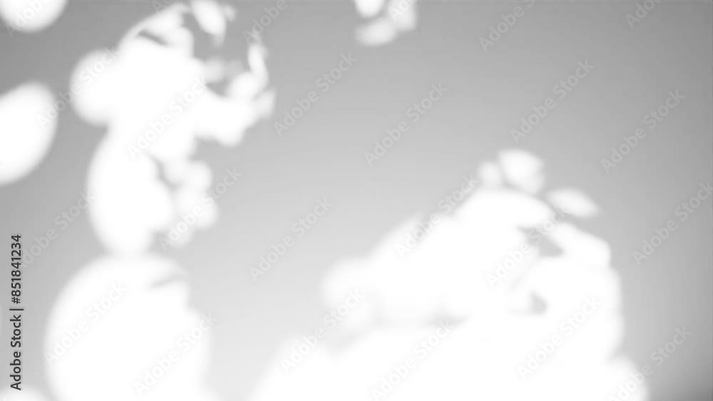 Leaf Tree Shadow Animation Video - Endless Loop in 4K UHD - Gobo ...