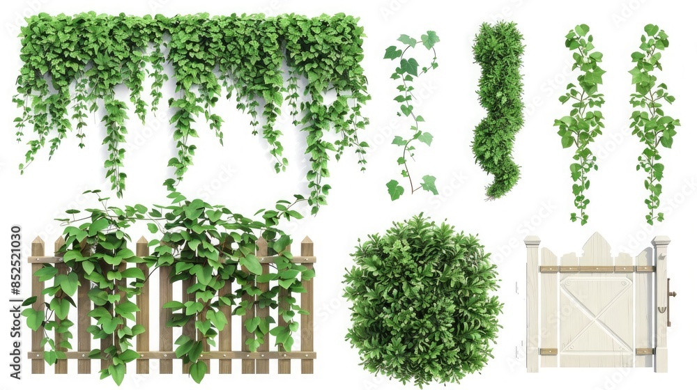 Set of River wattle plant, Ivy and vine for decorate wall and fence ...