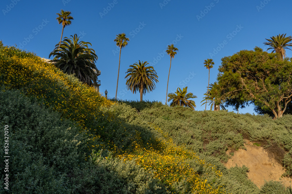 Palisades Park, Santa Monica, Los Angeles, California geology. Marine ...