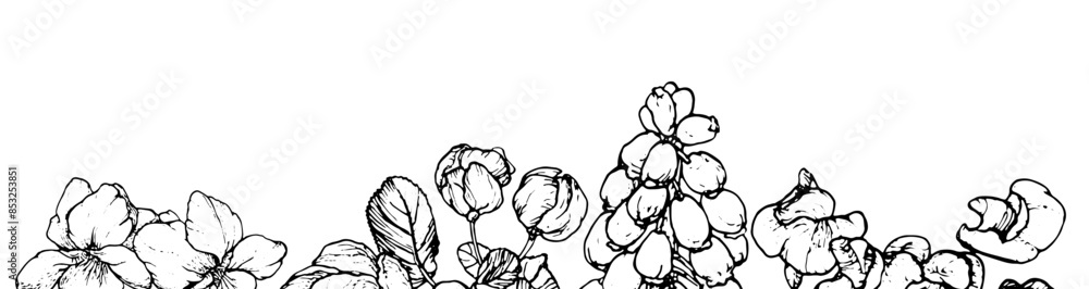 Spring flowers drawing with line-art on white background Stock Vector ...