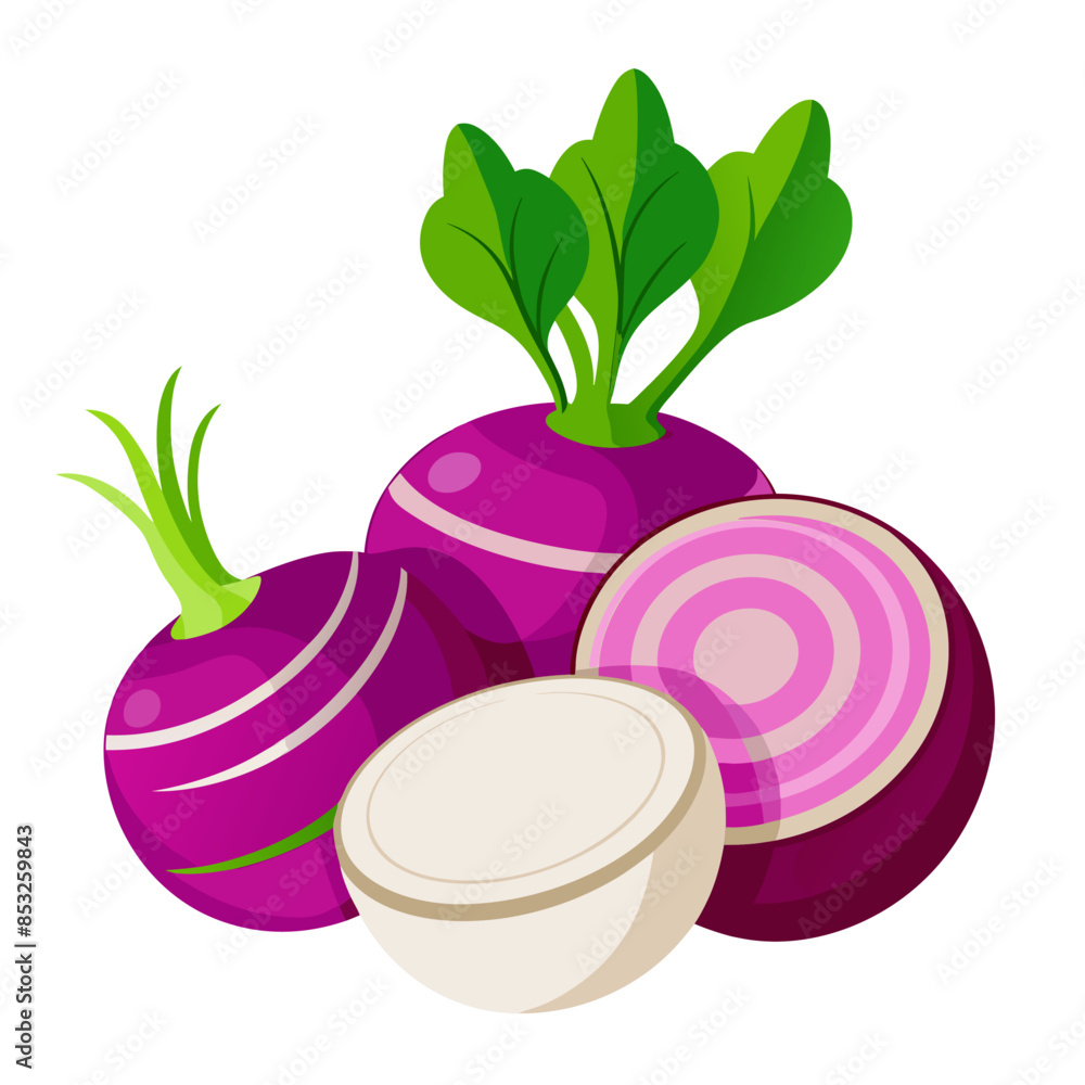 Flat vector image of purple and white turnips, shown whole and sliced ...