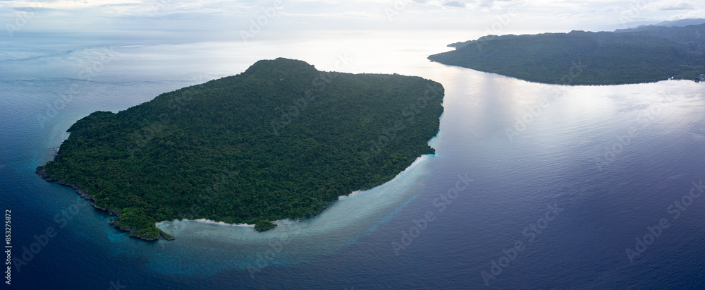 An idyllic tropical island is surrounded by a biodiverse coral reef in ...