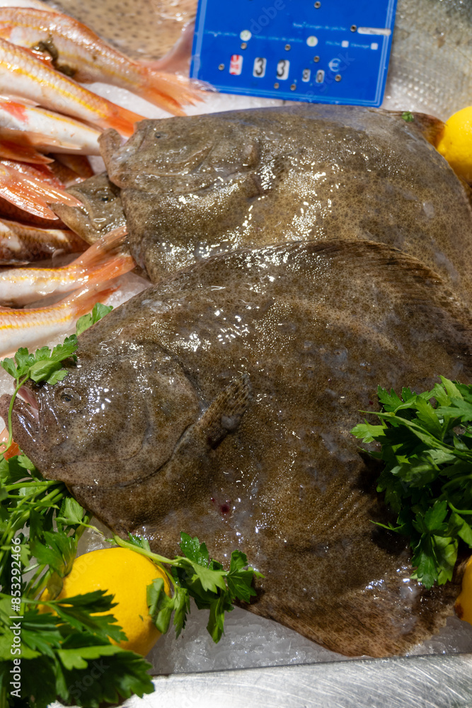 Turbot fish on ice on market, highly prized fish for its delicate ...