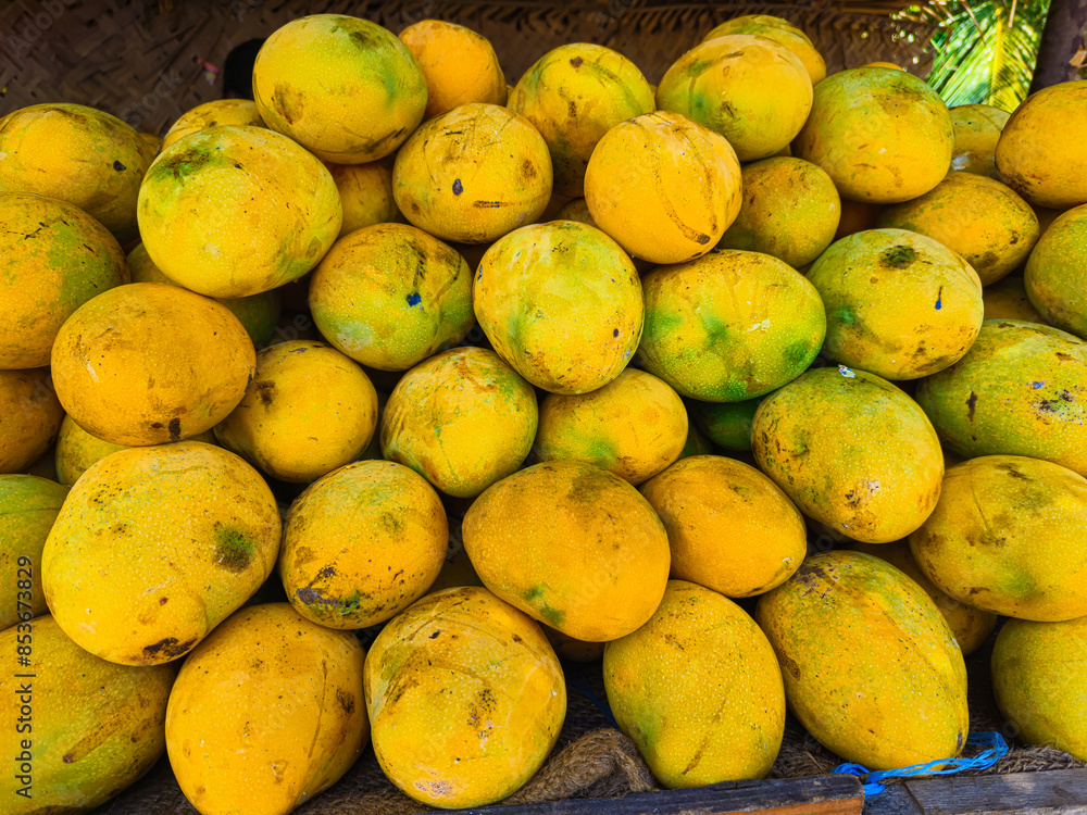 Banginapalli, Neelum mango, Alphanso, Mulgoa, Ratnagiri mango, Malda ...