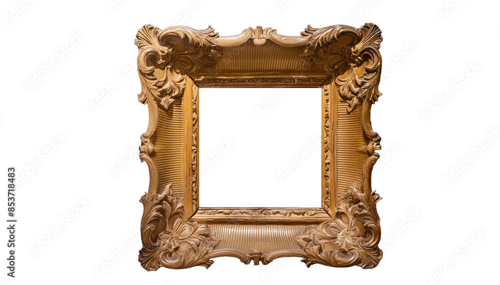 Luxurious Vintage Photo Frame with Ornate Border on Transparent ...