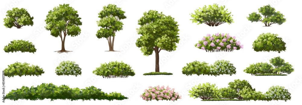 Vertor set of spring blossom tree,bloomimg plants side view for ...