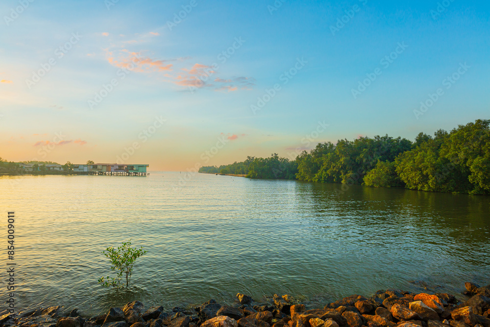 Coastal lines and mangrove forests,Sundarbans, northeastern India and ...