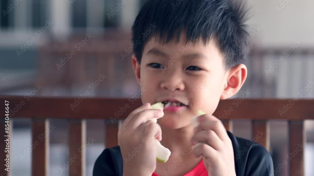Asian boy eats guava fruit with happiness Stock Video | Adobe Stock