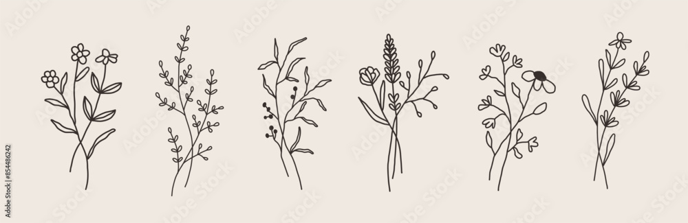 Set of flower line art bouquets. Floral sketch plant. Spring hand drawn ...