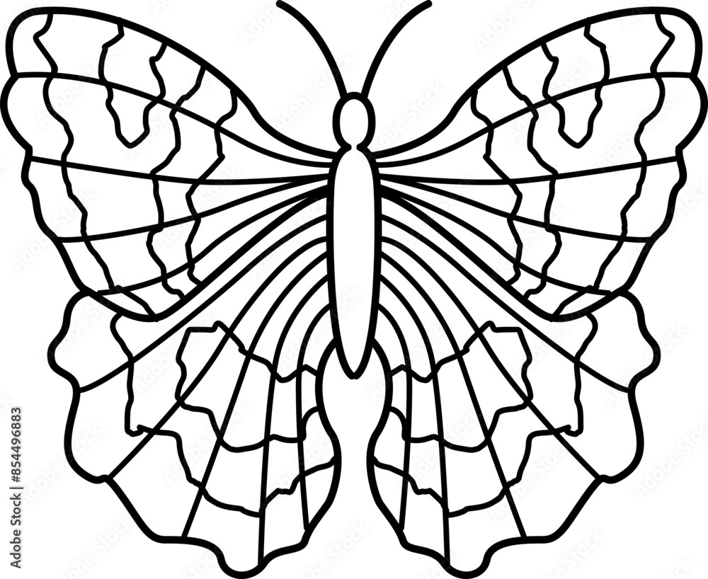 Detailed butterfly outline, symmetrical wings, circular patterns ...