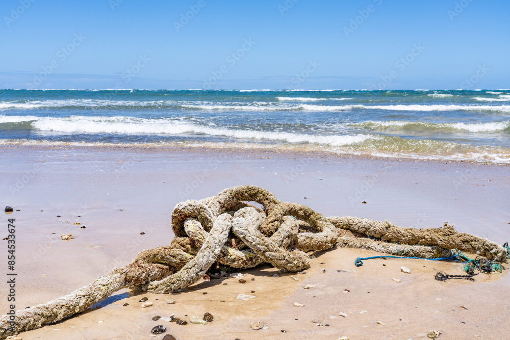 Punaluu Beach，Windward Coast of Oahu, Hawaii. Marine debris / marine ...