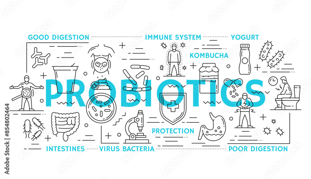 Intestine health and probiotics line vector icons or infographics ...