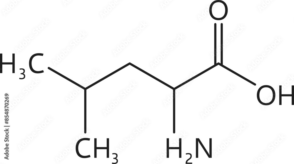 Amino acid chemical molecule of Leucine, molecular formula and ...
