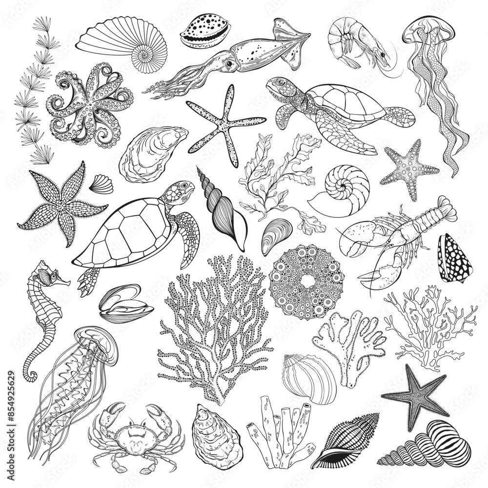 Sea creatures. Big vector collection, isolated elements on a white ...