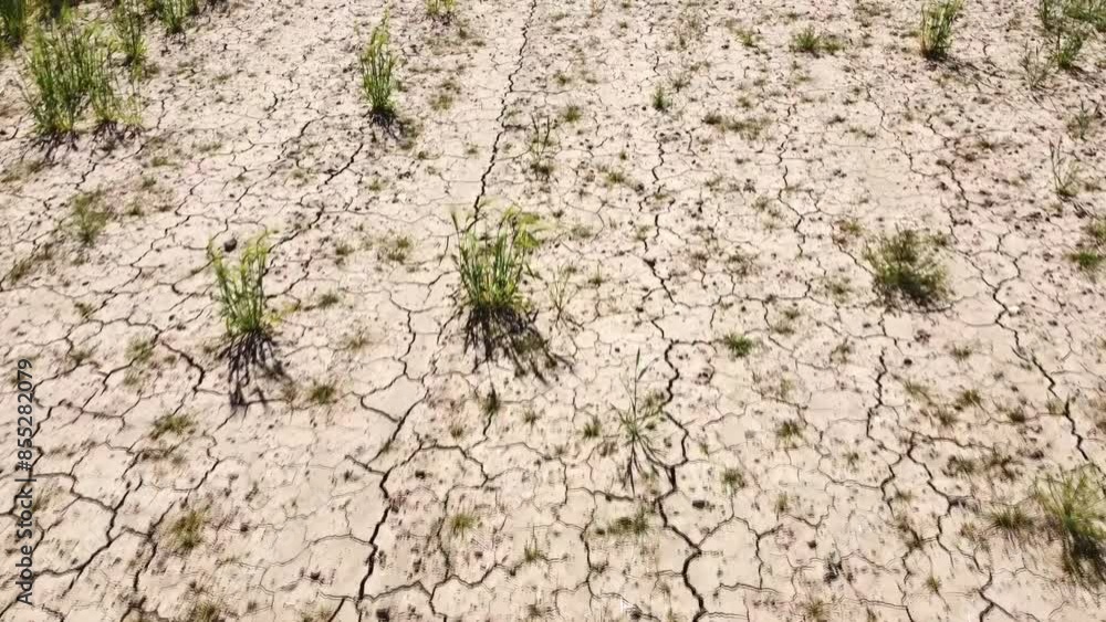 Very drought dry field land with grain leaves, drying up the soil ...