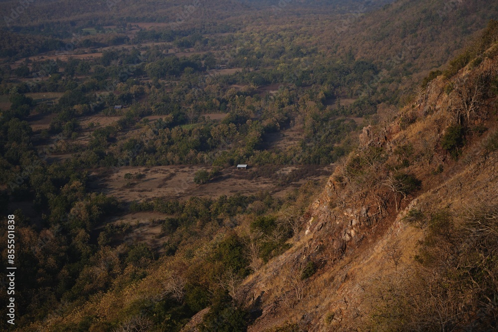 View of a dense forest with a small isolated house in the middle and a ...