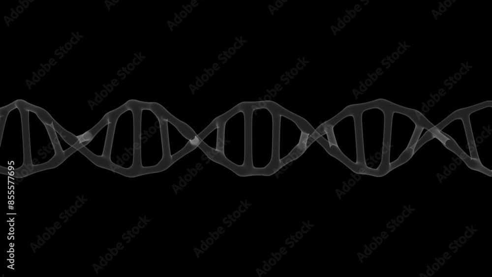 Animated double helix structure of DNA in black and white, showing the ...