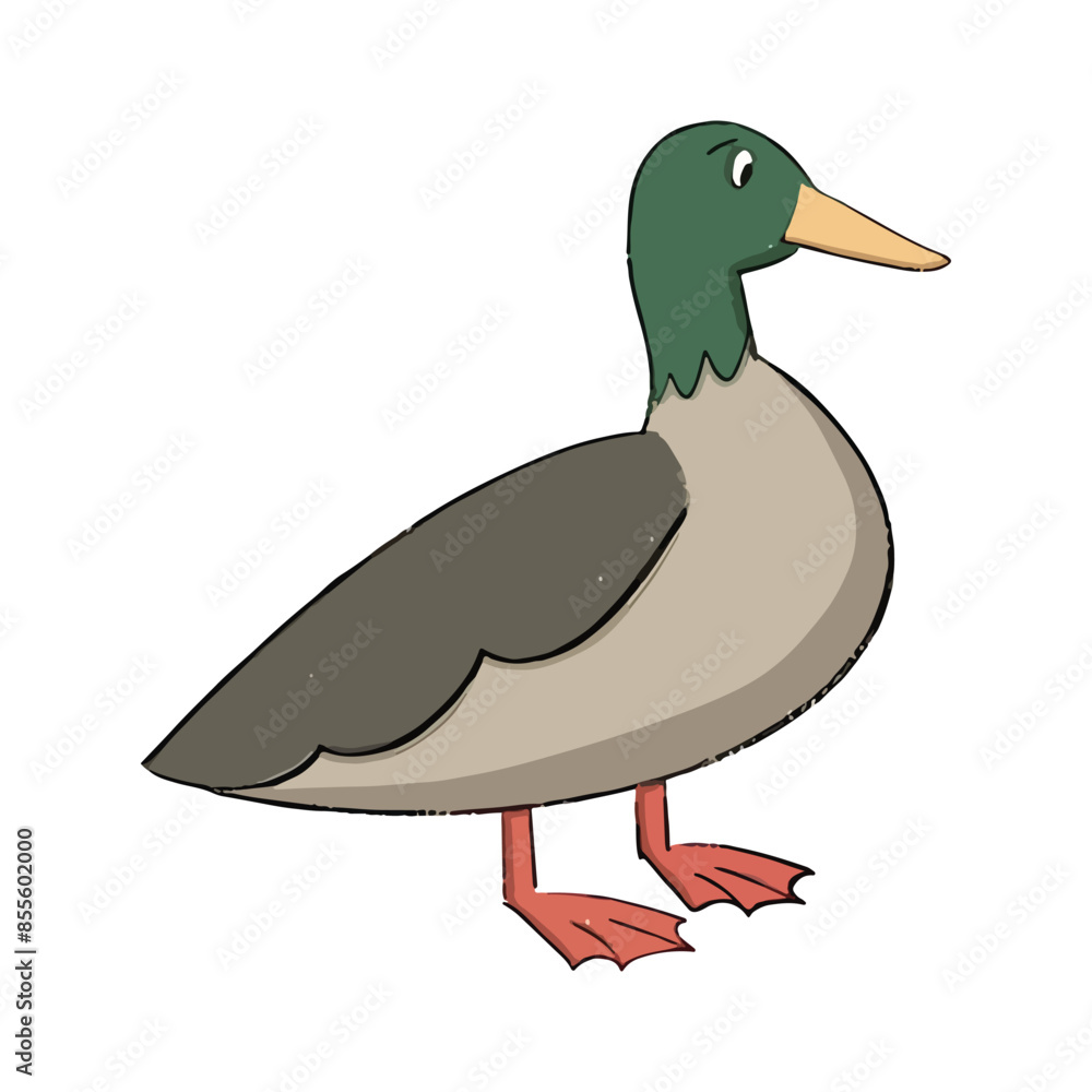 Seagull bird. Resting curious standing sea bird. Vector illustration ...