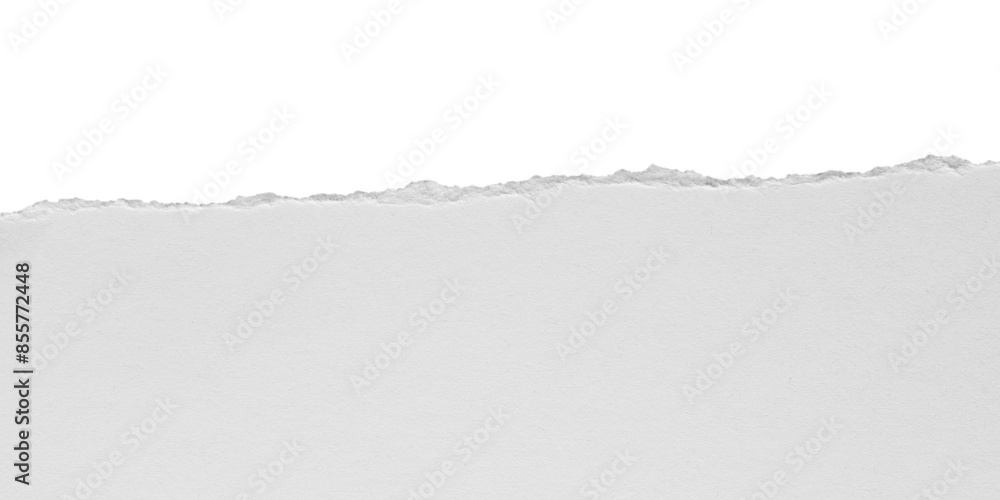 torn blank pages with uneven texture edges. set of ripped white paper ...