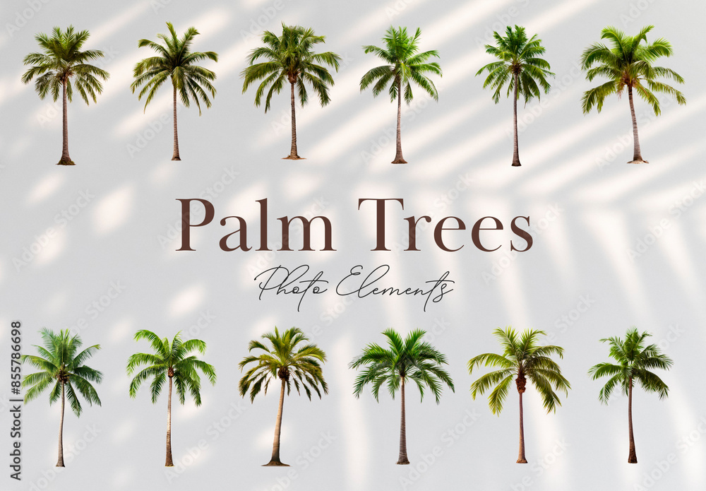 Palm trees Element Design Set With Generative AI Stock Template | Adobe ...