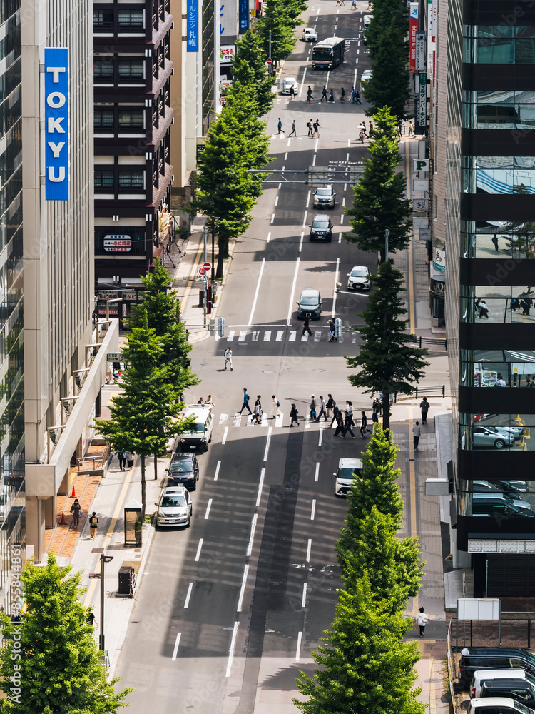 Sapporo city street with people walking on crosswalk Transportation ...