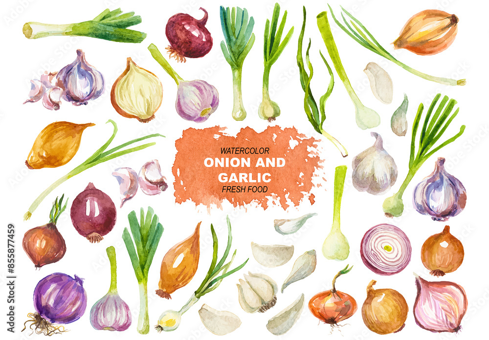 Vector watercolor painted onion and garlic clipart. Hand drawn fresh ...