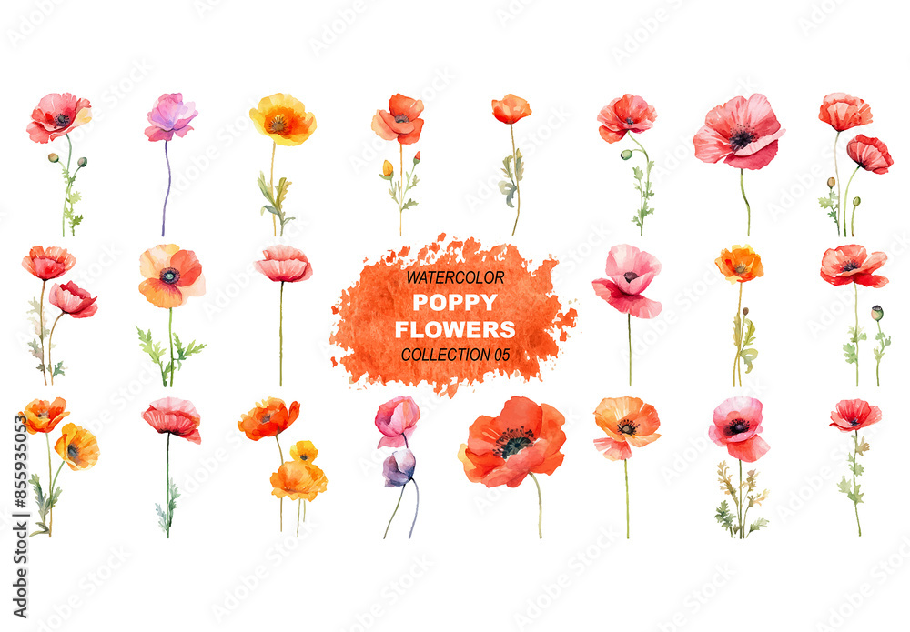 Vector watercolor painted style - poppy flowers clipart isolated on ...