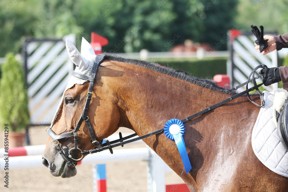 Equestrian sports and victory. Riding a horse. Equestrian background ...