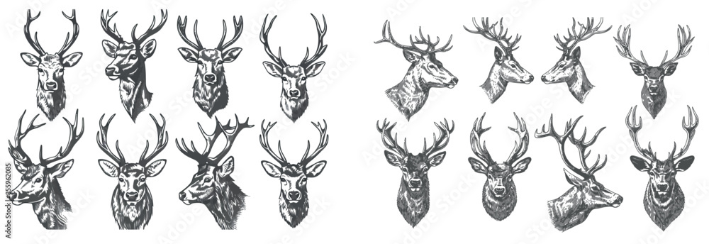 The isolated black and white stag silhouette art is inspired by vintage ...