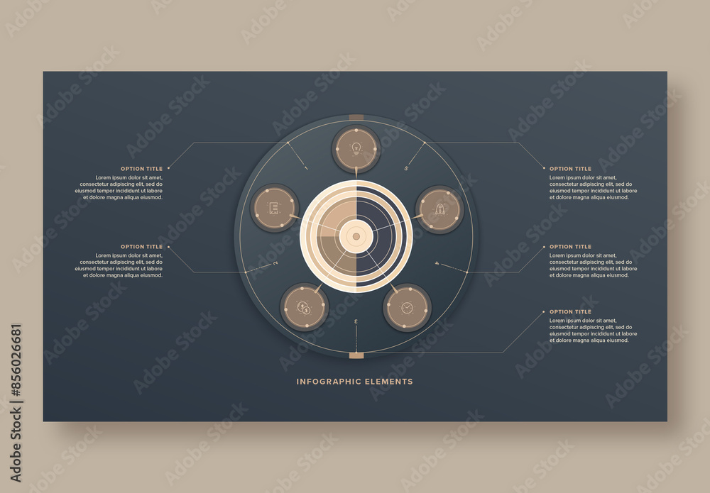 Circular 5 Step Workflow Infographic Stock Template | Adobe Stock