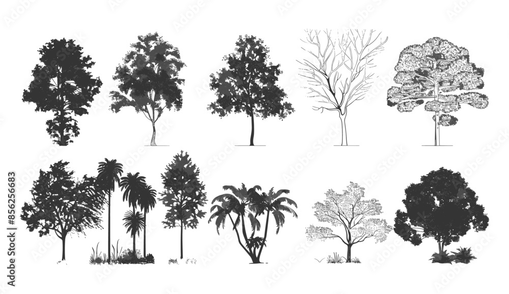 Architectural rendering, garden design, natural landscape vector ...