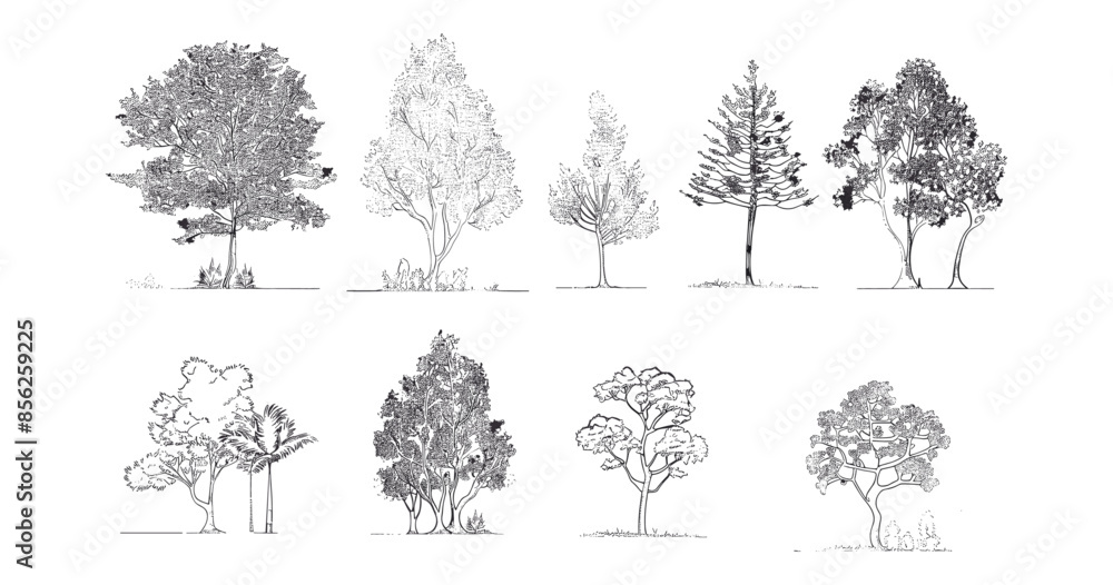 Vector illustration of minimal style side view tree line drawing in ...