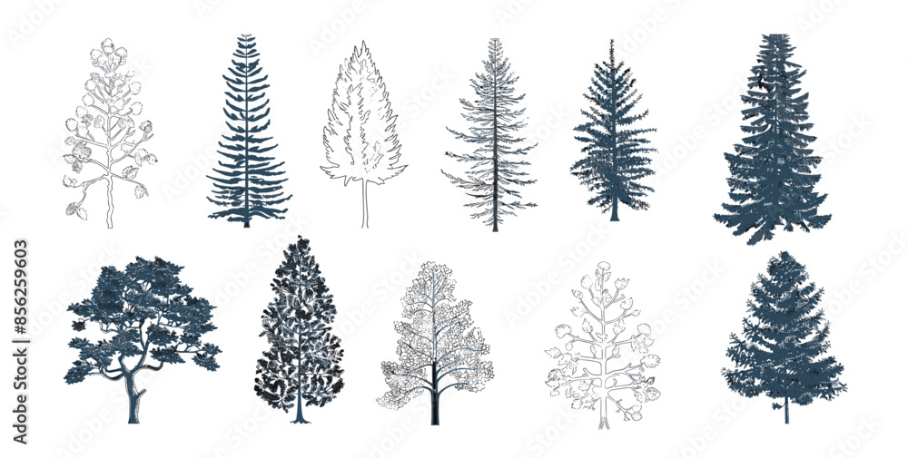 Vetor de Minimal style pine tree line set, side view set of graphics ...