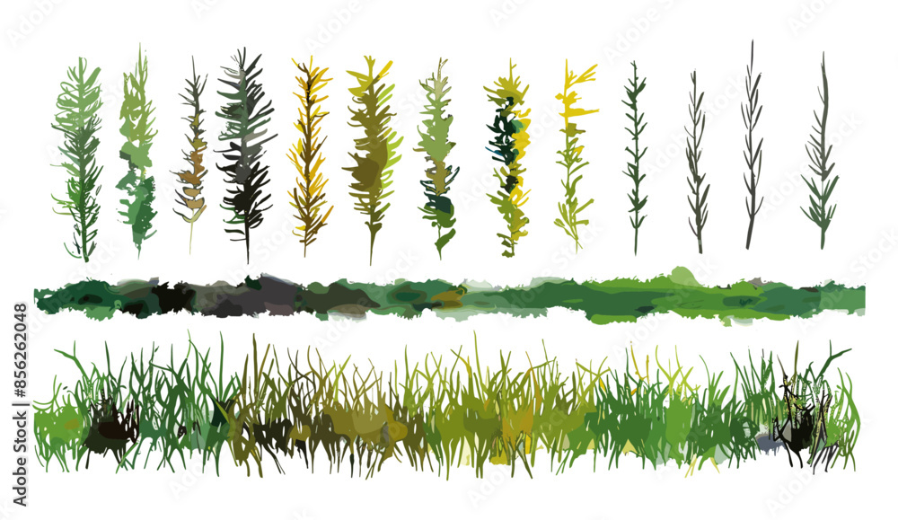 Hand drawn watercolor set of grass line cad and silhouettes isolated on ...