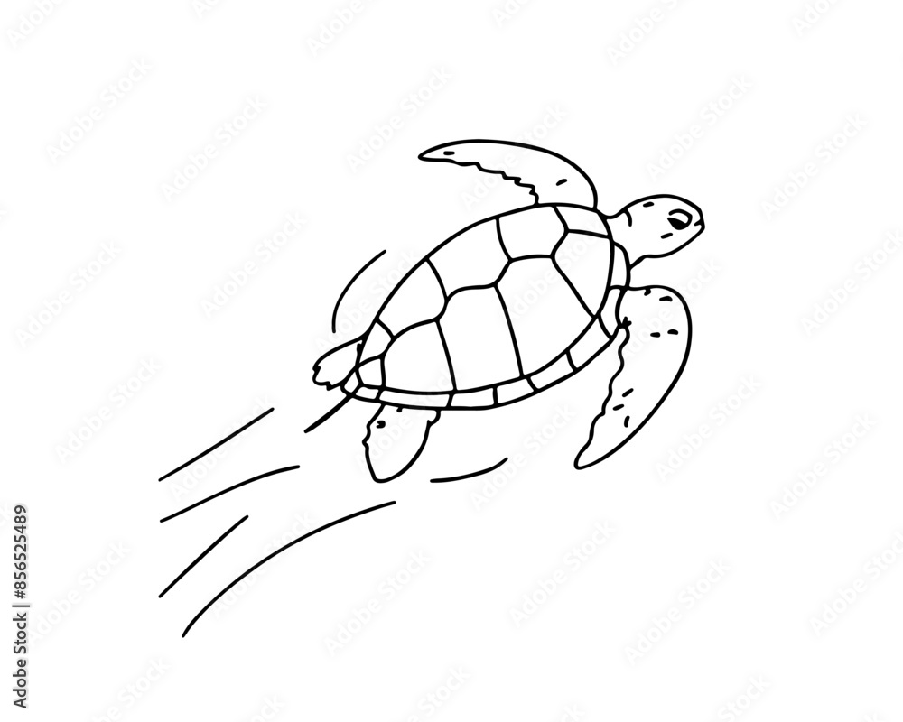 Vector isolated cute cartoon swimming sea turtle colorless black and ...