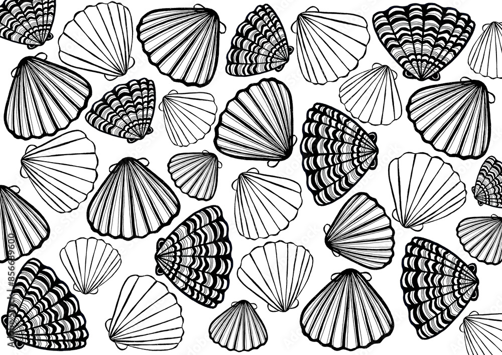 Set with seashells in black outline on white background. Different ...