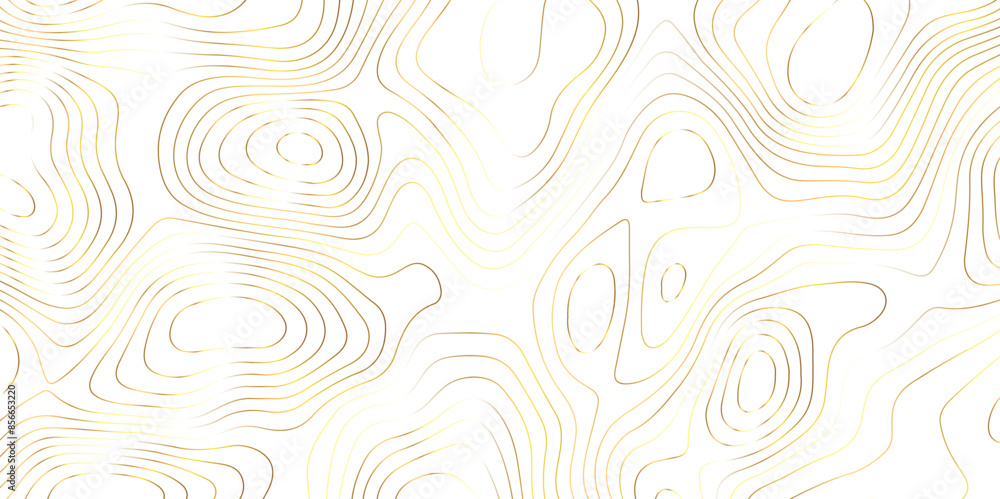 Abstract topography geography contour map and curve reliefs background ...