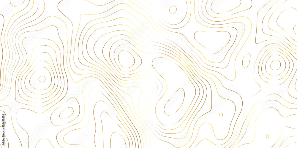 Abstract topography geography contour map and curve reliefs background ...