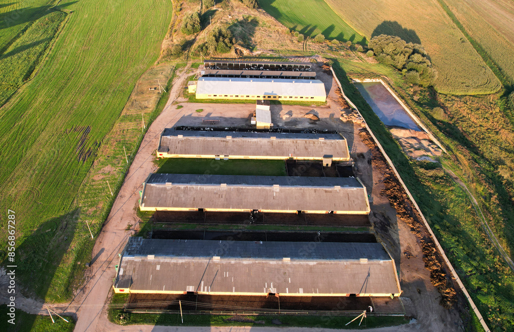 Foto de Cows in Cowshed on farm, aerial view. Farm building at field ...