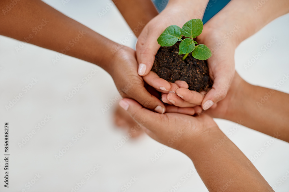 Dirt, leaf and hands of business people together with teamwork ...