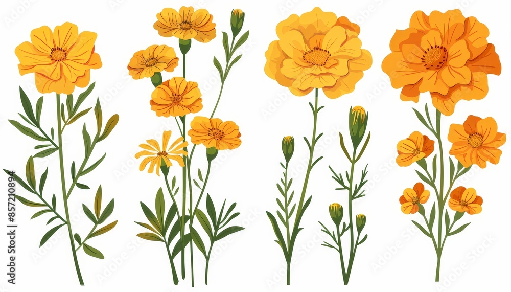 Four different types of yellow flowers are shown in a row by AI ...