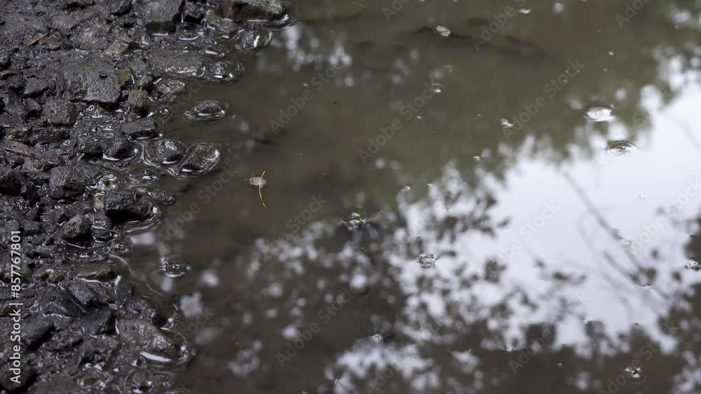 Water puddle on gravel road, reflection of trees on surface in rain ...