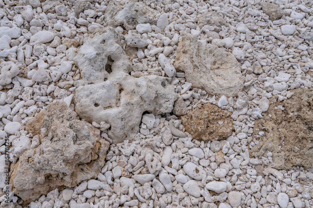 Coral fossils / reef deposits / Limestone at Ko Olina Beach Park ...