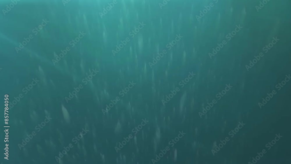 Optical lens flares rays. 4K beautiful spotlight effects moving on top ...