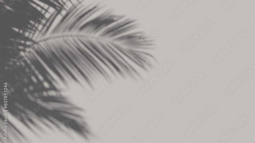 shadow palm leaf in the wind blowing overlay on white wall background ...