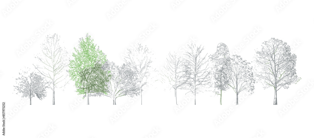 Minimal style CAD tree line drawing, side view, set of graphics trees ...